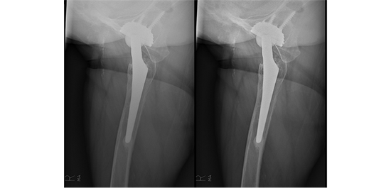 Canon CXDI Control Software NE - Canon Medical Components Europe